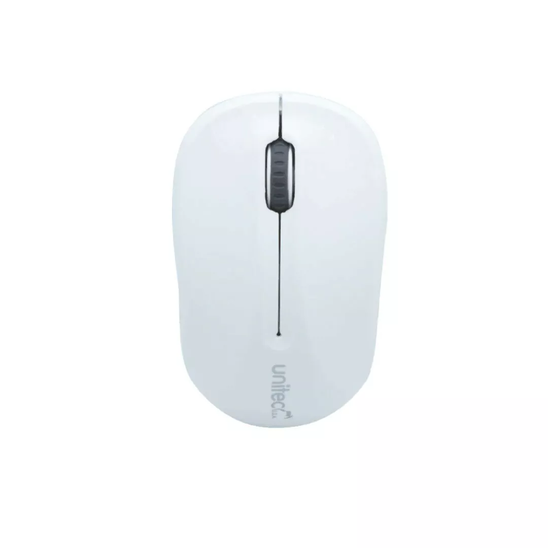 Inicio TMS - TMS SOLUTIONS